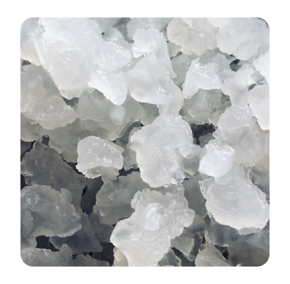 CELLULOSE - GREEN AND GROWTH